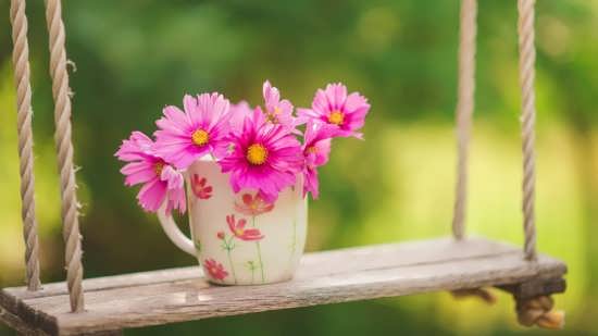 شــــــــاد زیستــن | شعر