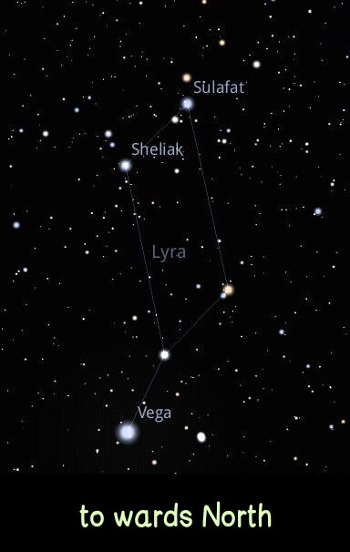 Tell me the truth!