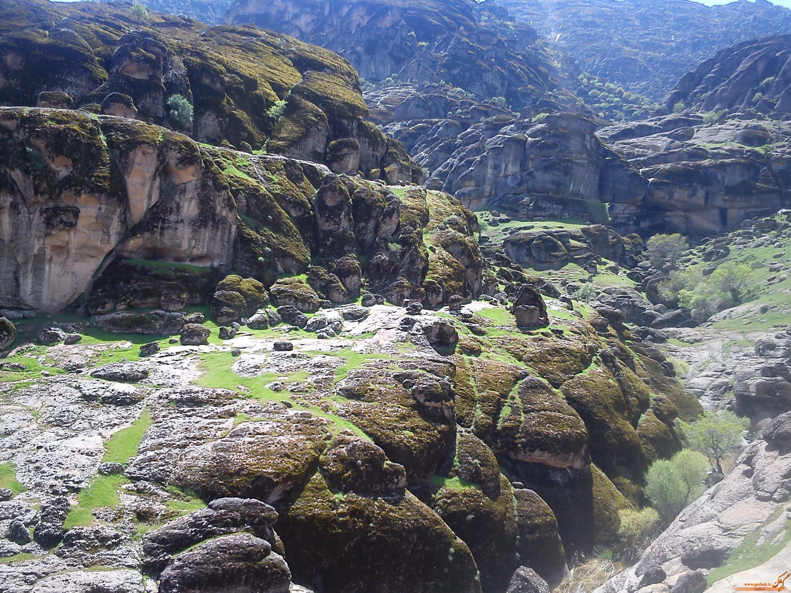 Makhmal kooh_Lorestan Nature