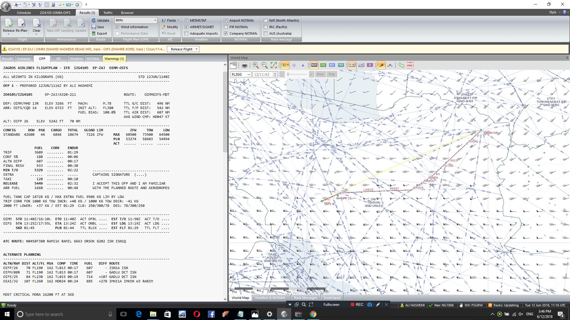 Professional Flight Planner X